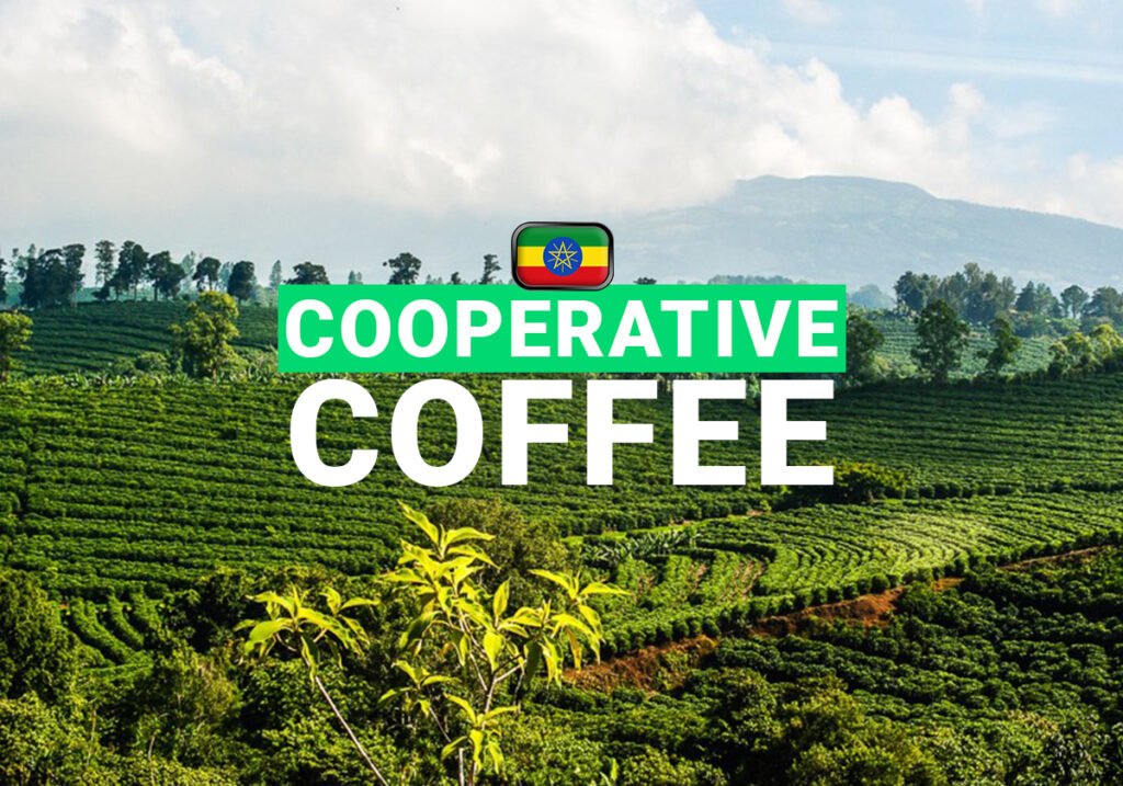 Ethiopia Sidamo Specialty Coffee - Natural - Kahraman Dubai