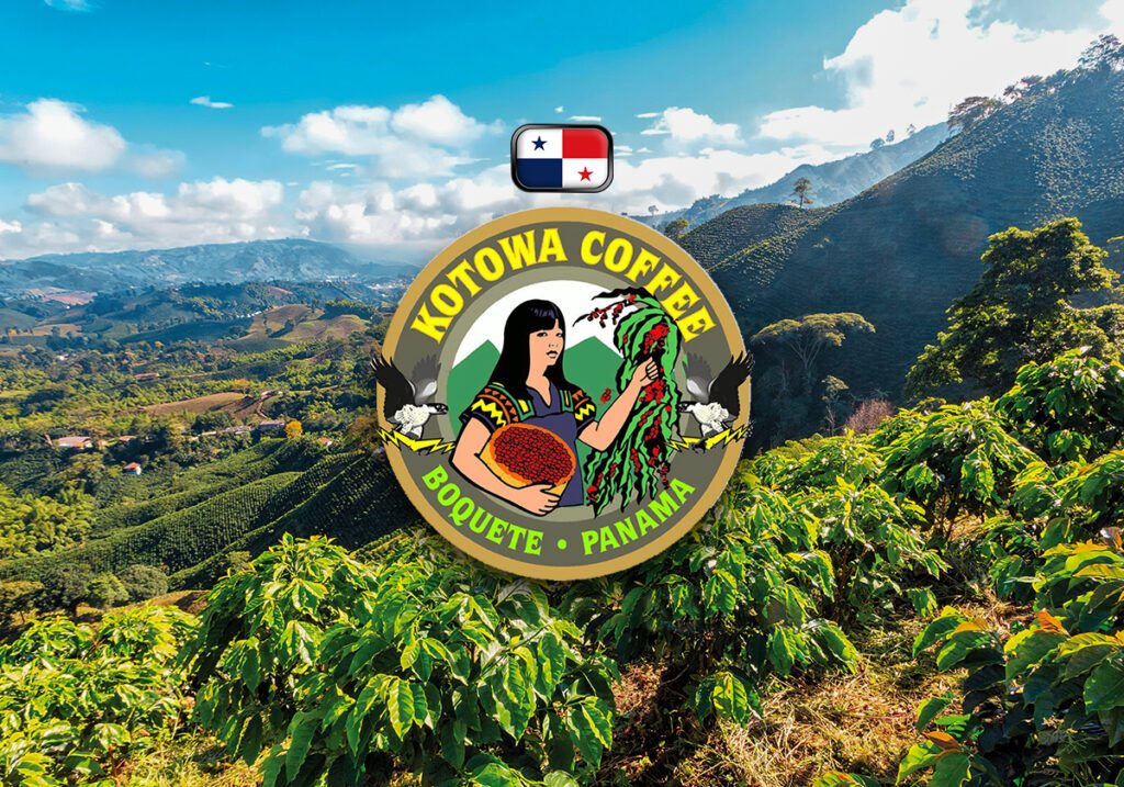 Panama Kotowa Las Brujas Farm 15480-20 Specialty Coffee Gesha Honey ...
